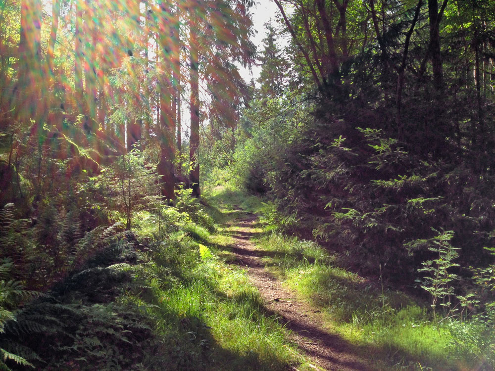 Lyngdal, typisk turiststed - Lyngdal kommune